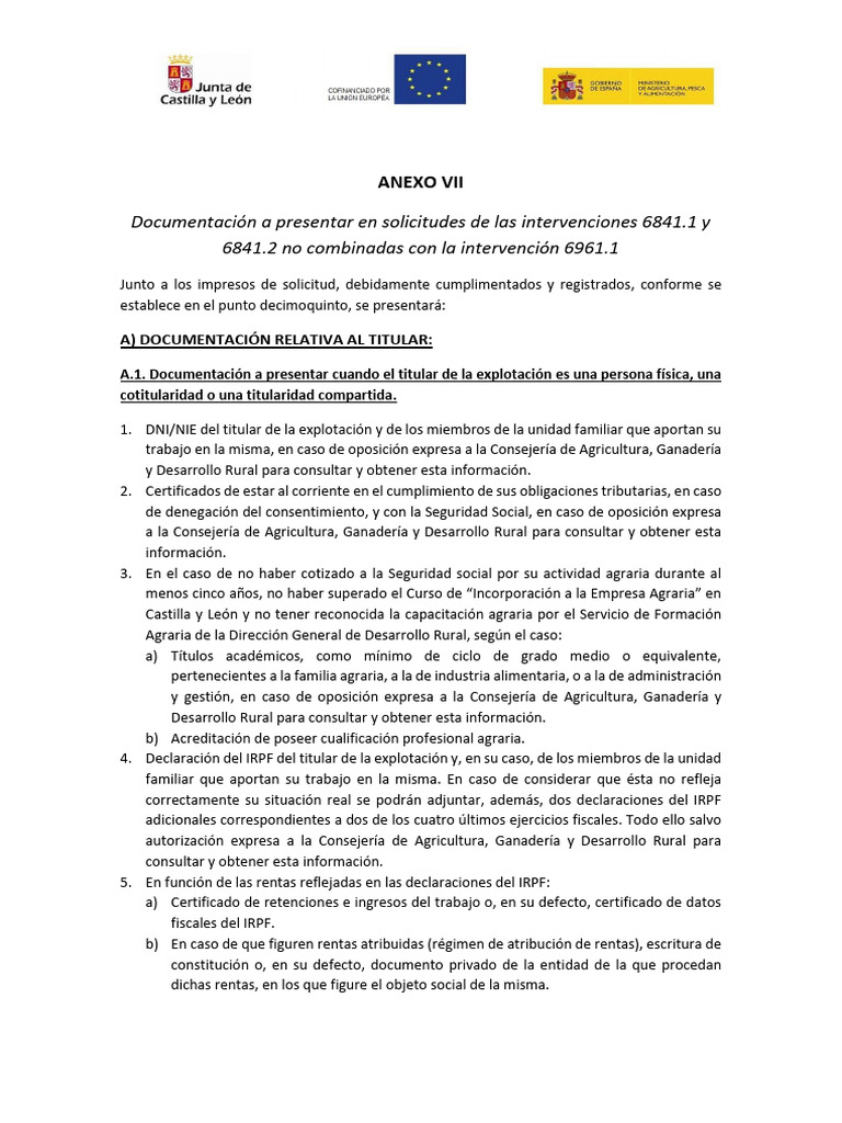 Anexo VII | PDF | Contralor | Contabilidad