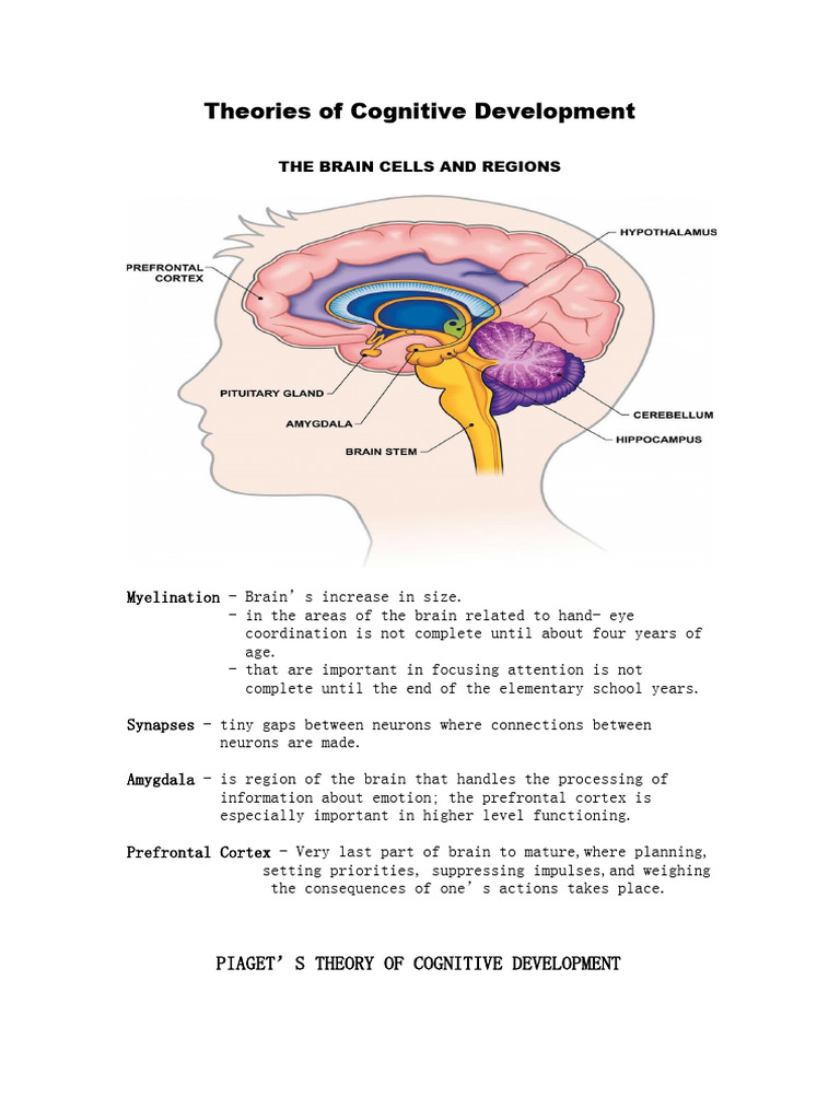 Theories of Cognitive Development Jean Piaget | PDF | Cognitive ...