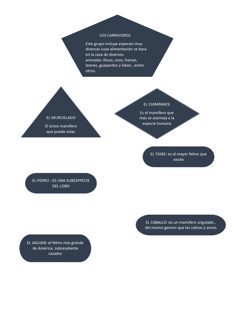 Segundo Mapa Conceptual de Ciencias | PDF