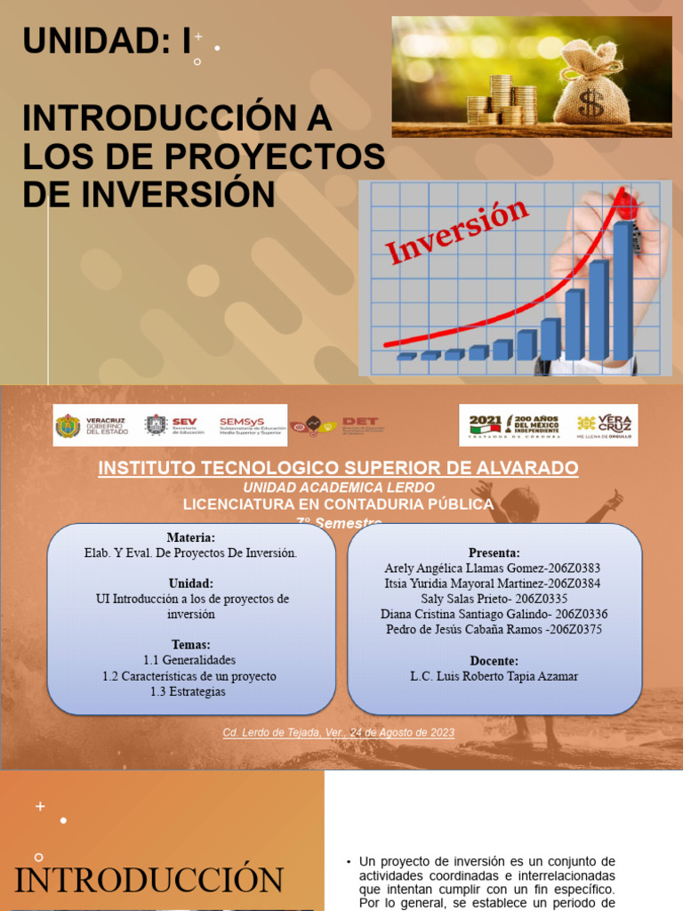 Unidad 1 - Elab. y Eval. de Proyectos de Inversion | PDF | Planificación | Presupuesto