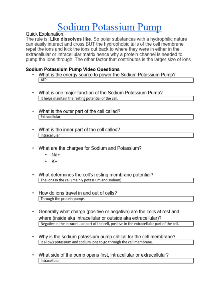 Student Copy Sodium Potassium Pump | PDF | Cell Membrane | Ion Channel