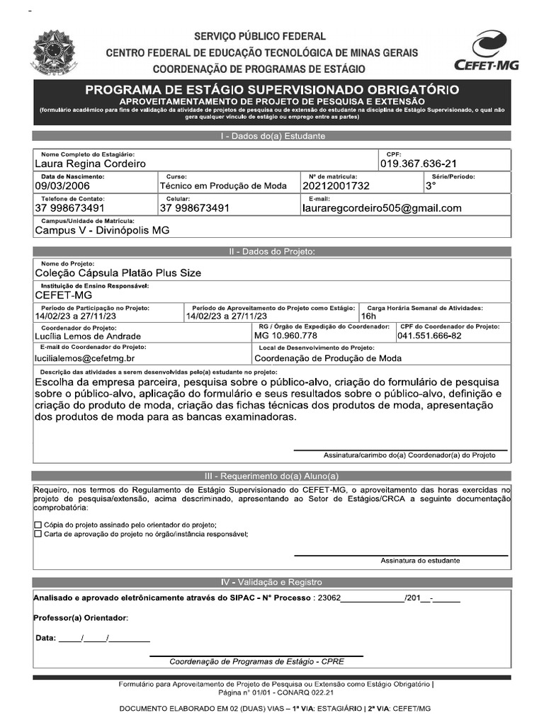 Documento Estagio | PDF