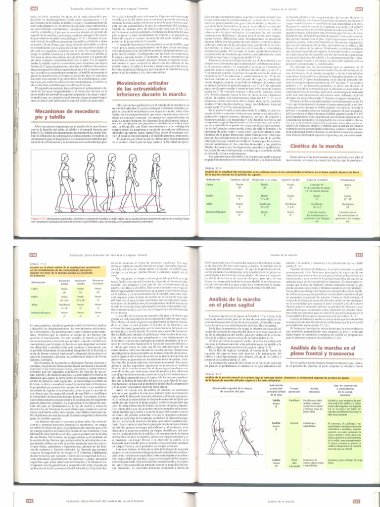 Espanol En Marcha 1 Pdf