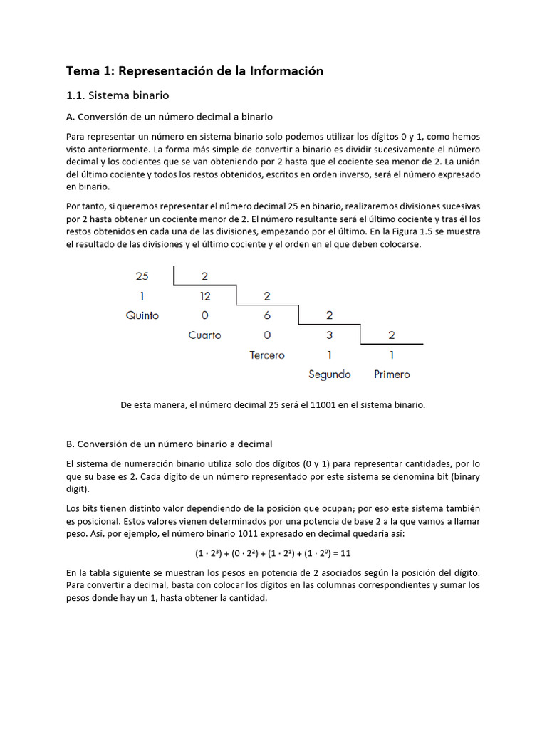 Tema 1 | PDF | Byte | Poco