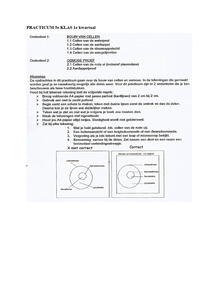 Practicum V5 Kw 1 Pdf