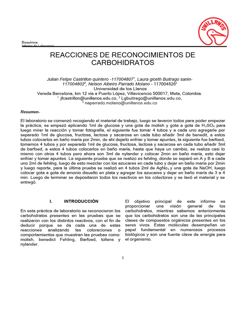 Reconocimiento de Carbohidratos - 230613 - 195829 | PDF | Carbohidratos | Glucosa