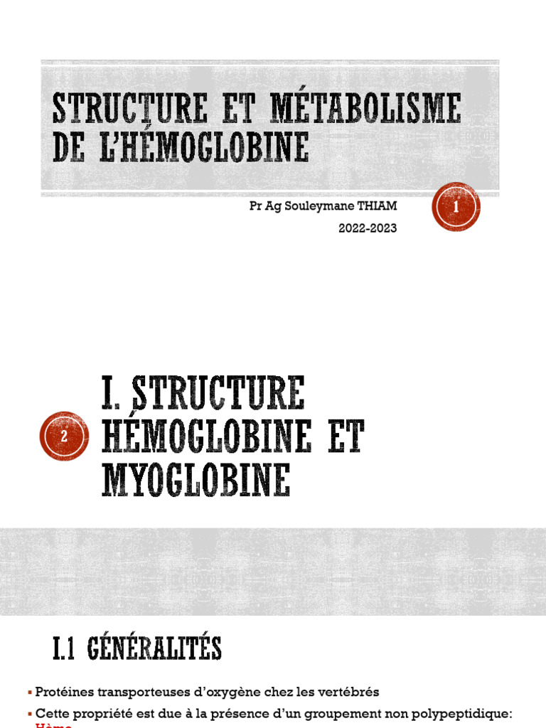Structure et métabolisme de l'hémoglobine | PDF | Hémoglobine ...