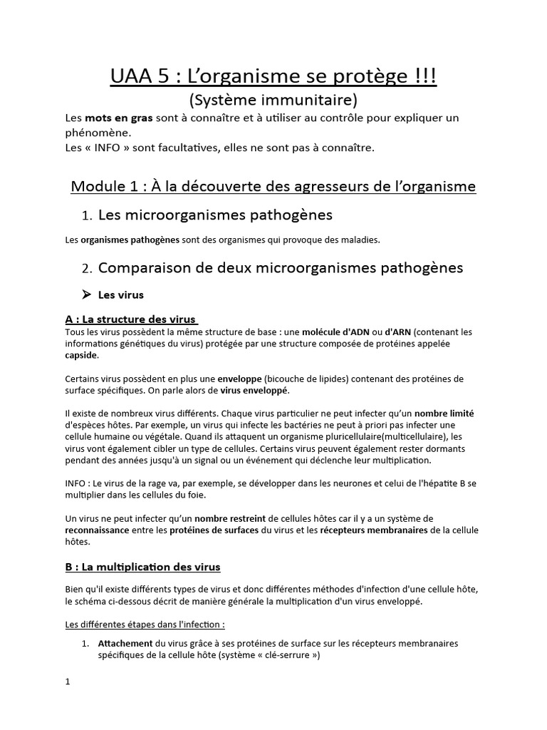 Bio UAA 5 | PDF | Système immunitaire | Globule blanc