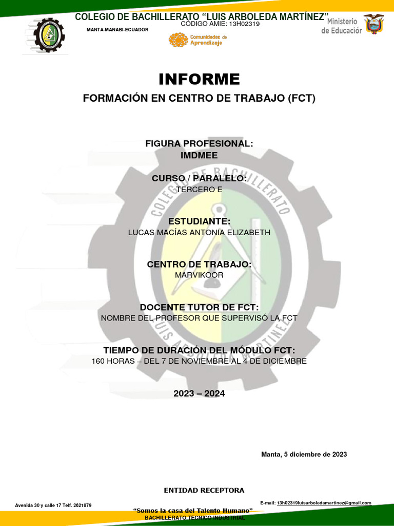 Guía para El Informe de FCT 1 | PDF