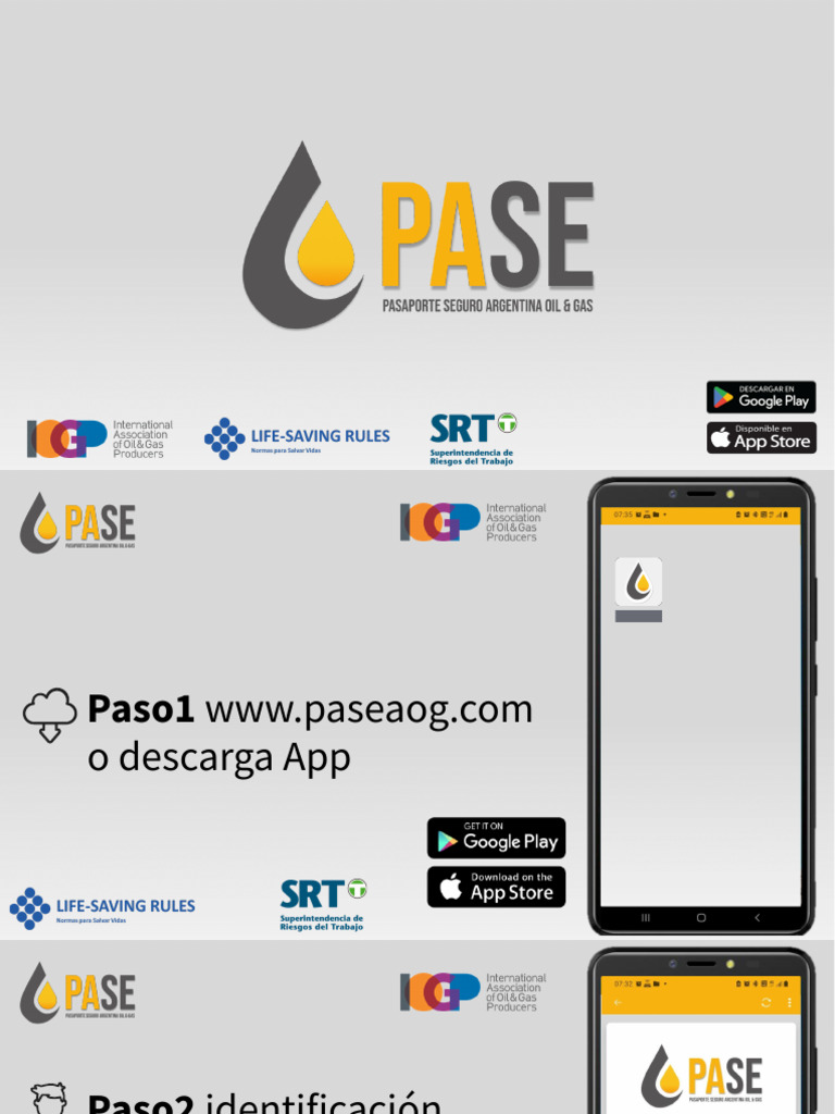 Instructivo Reducido Usuario Final PASE | PDF