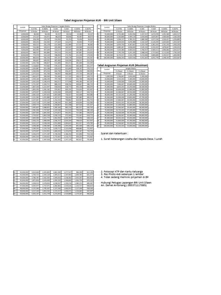 Brosur KUR Mikro 2023 | PDF