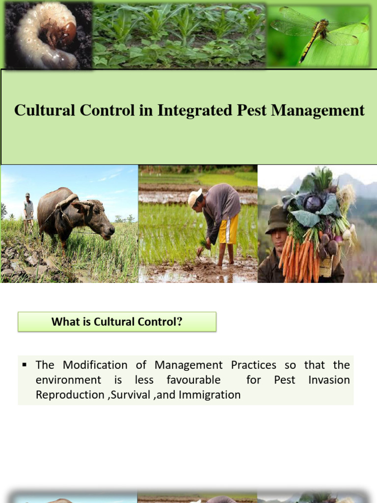 IPM Presentation Working-File 2022016 | PDF | Pest (Organism) | Crop Rotation