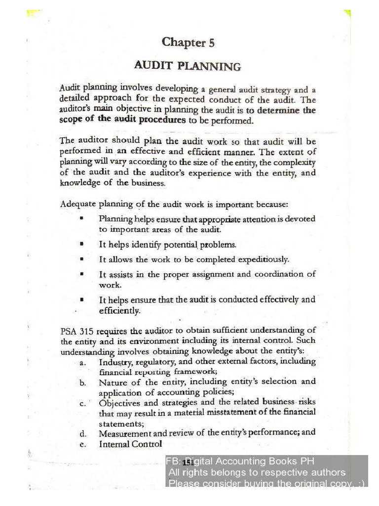 Audit Planning | PDF