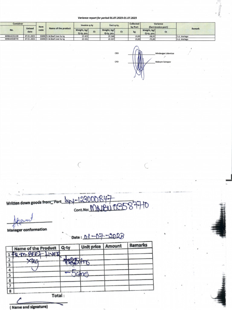 Variance Report | PDF