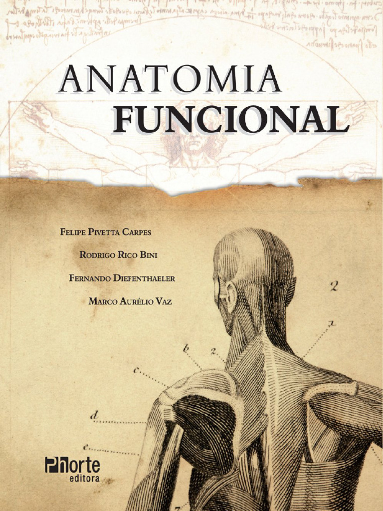 Resumo Anatomia Funcional Felipe Pivetta Carpes | PDF | Ciências e Matemática
