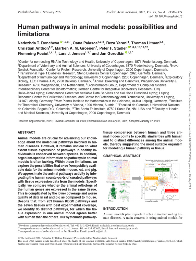 Human Pathways in Animal Models-5a | PDF | Model Organism | Cytochrome P450
