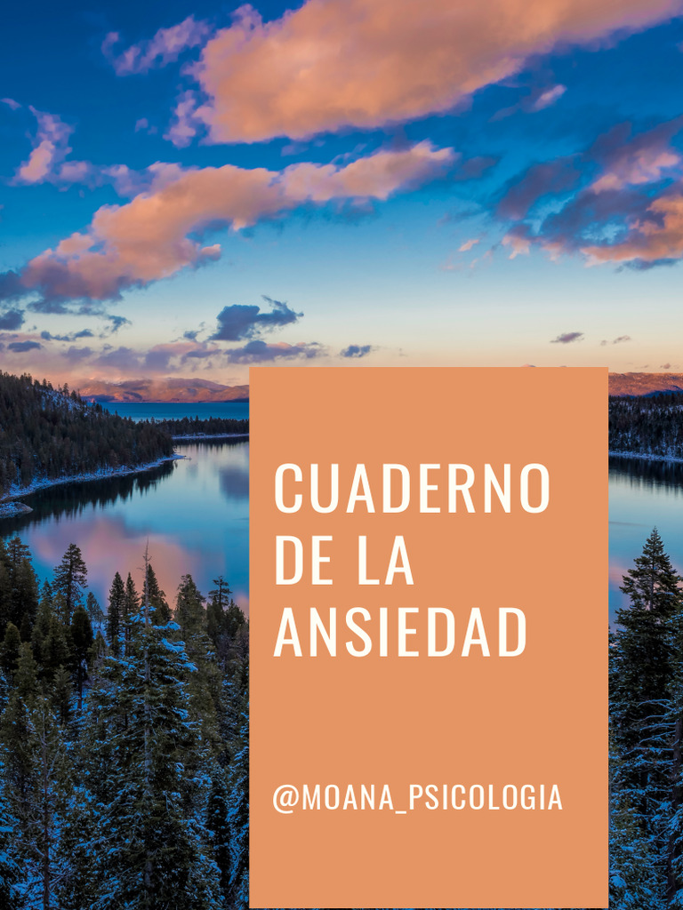 Cuaderno Ansiedad | PDF | Ansiedad | Ira