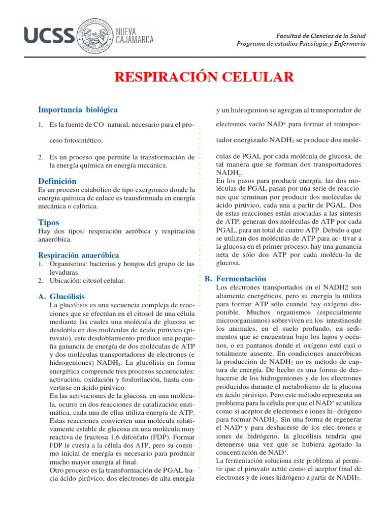 Respiración Celular | PDF | Respiración celular | Trifosfato de adenosina