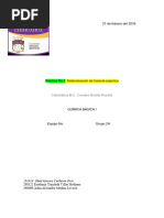 FÓRMULA ROJA WR | PDF | Hematología | Glóbulo rojo