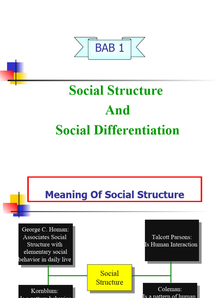 BAB 1 Social Structure and Social Differentiation | PDF | Race (Human Categorization) | Social ...