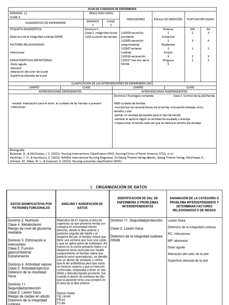 Pae y Place - Pie Diabético | PDF | Herida | Diabetes