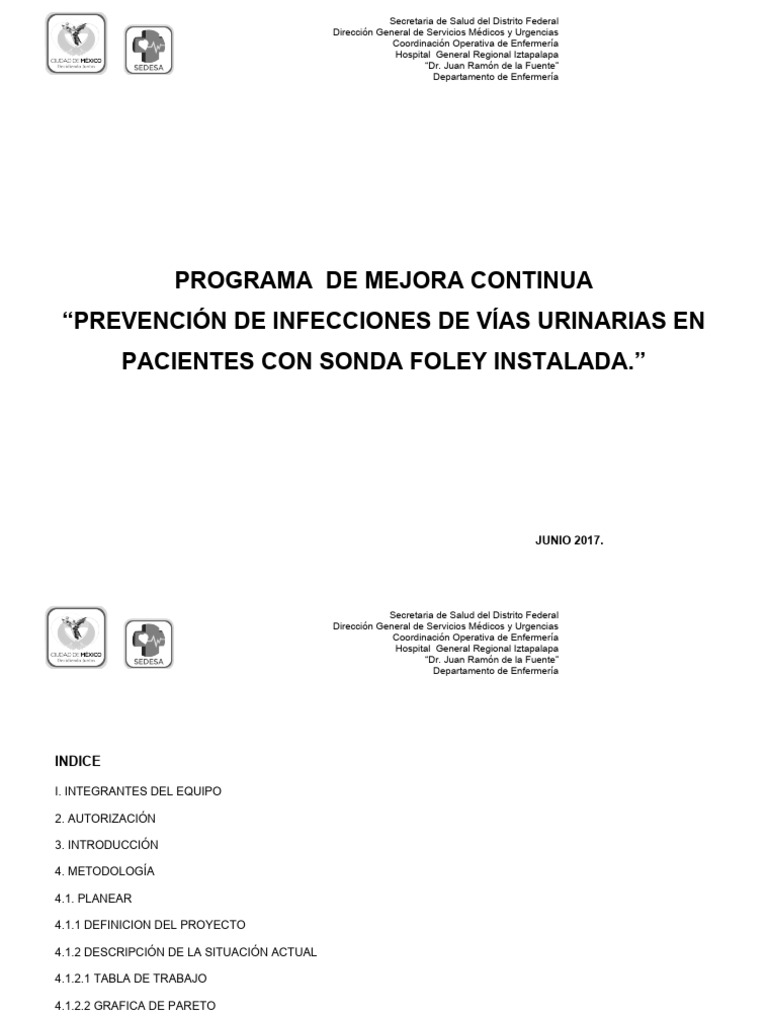 Progrma Ivu | Descargar gratis PDF | Hospital | Enfermería