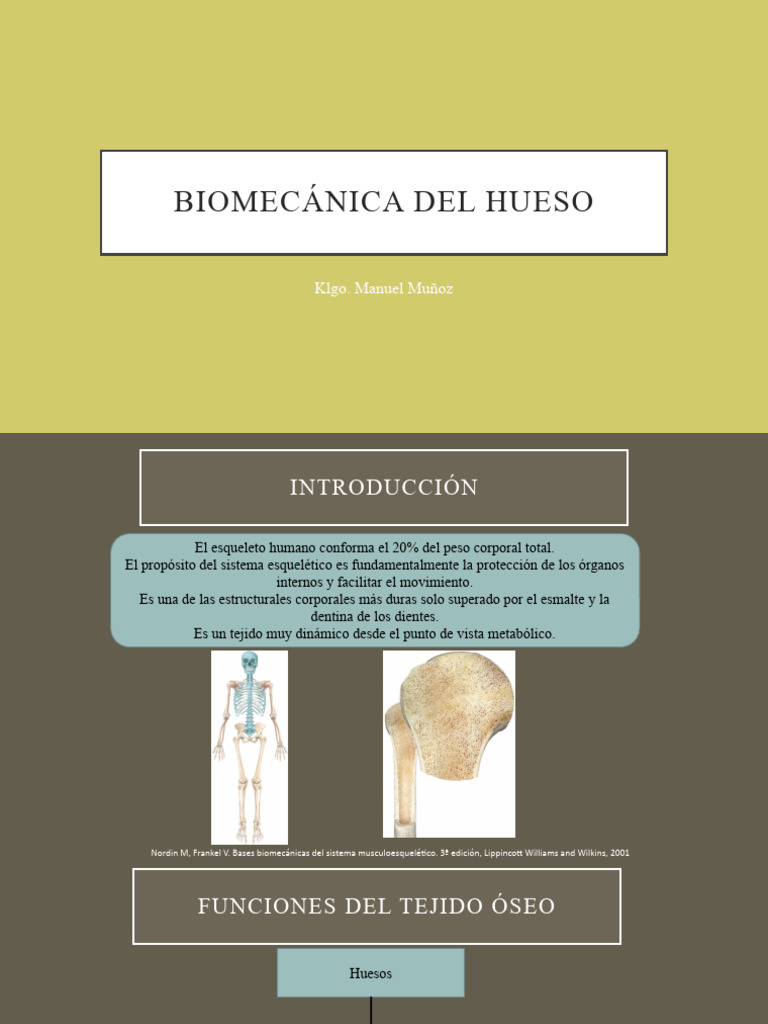 Biomecánica Del Hueso | PDF | Hueso | Anatomía