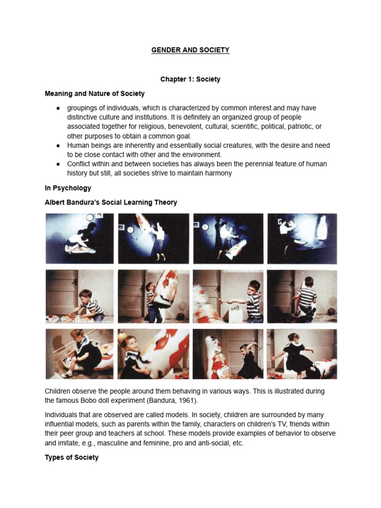 Gender and Society Chapter 1 To 4 Lesson | PDF | Gender | Gender Studies