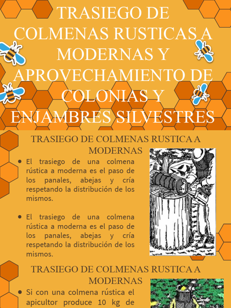 TRASIEGO | PDF | Colmena | Apicultura