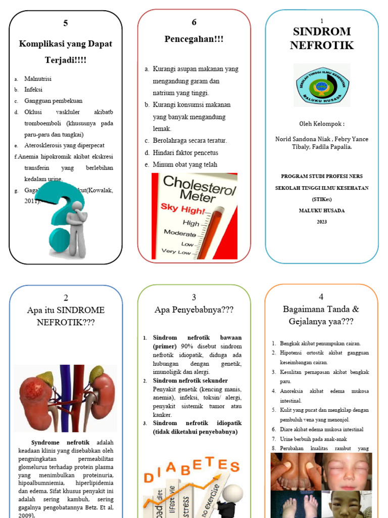 Komplikasi dan Pencegahan Sindrom Nefrotik | PDF