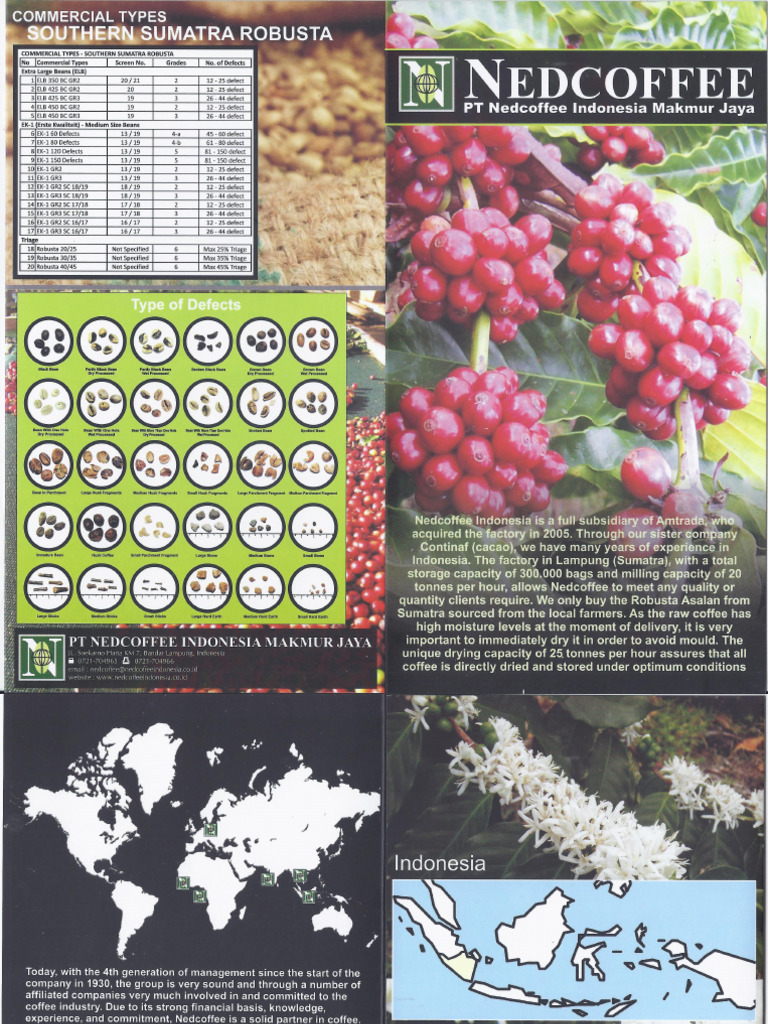 PT Nedcoffee Indonesia Types of Coffee Bean Defects | PDF