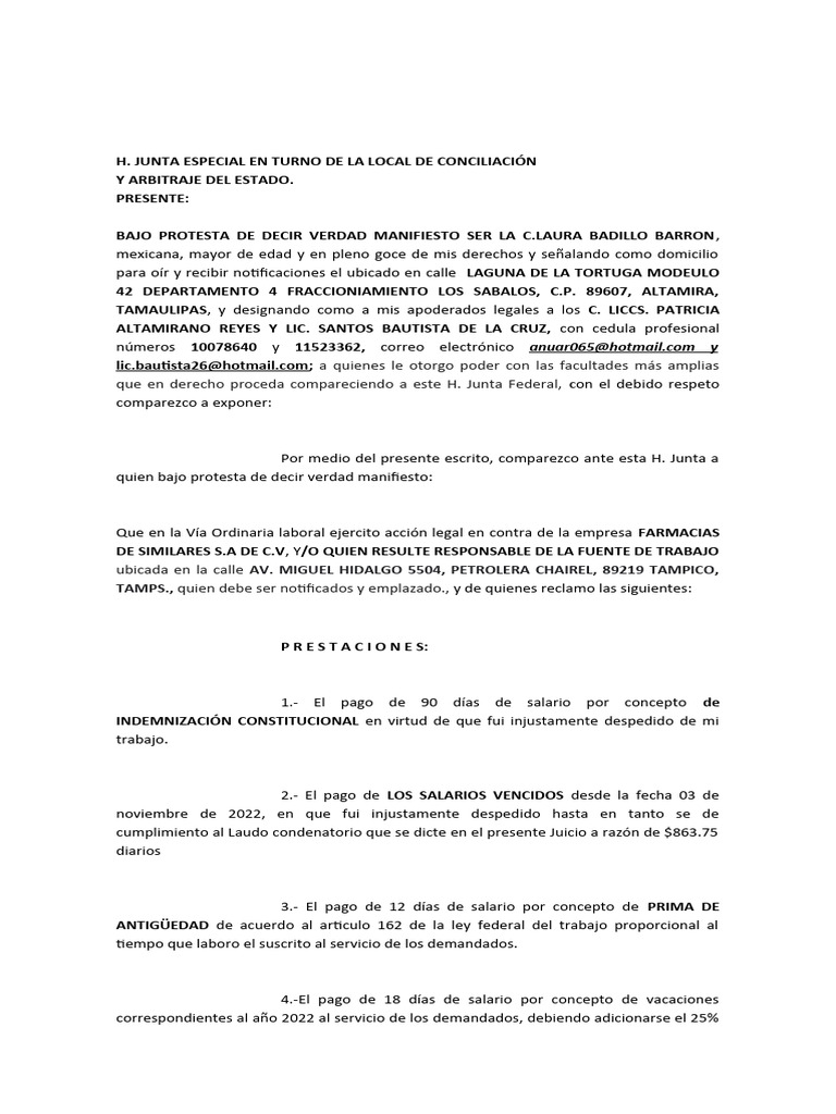 FORMATO DEMANDA LABORAL Laura Badillo Barron | PDF | Salario | Economias