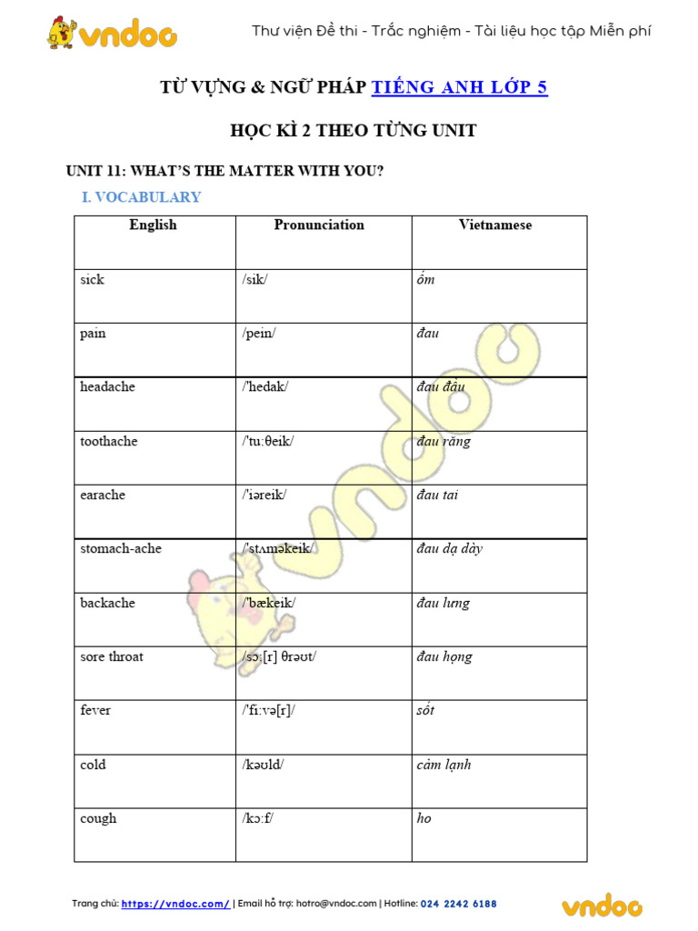 Tong Hop Toan Bo Tu Vung Va Ngu Phap Tieng Anh Lop 5 Hoc Ki 2 | PDF