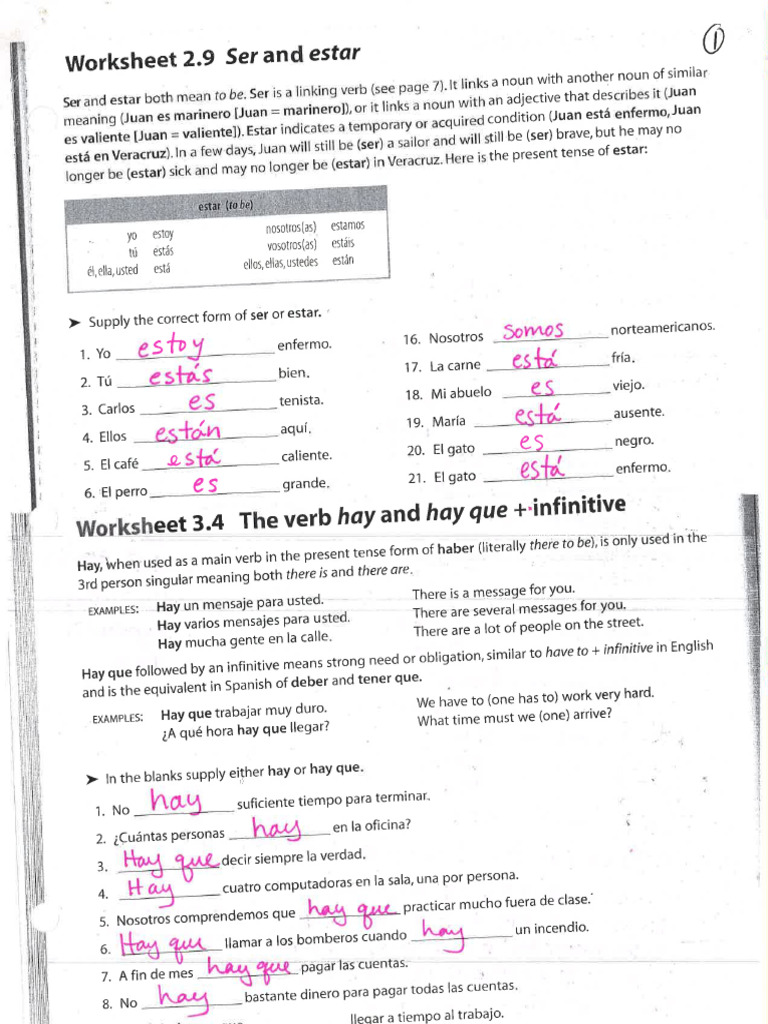 SP 4 Review Packet Answer Key 1-19 | PDF