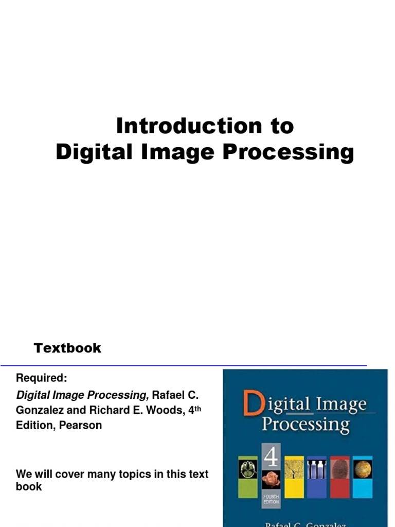Dip Introduction | PDF | Visual Perception | Perception