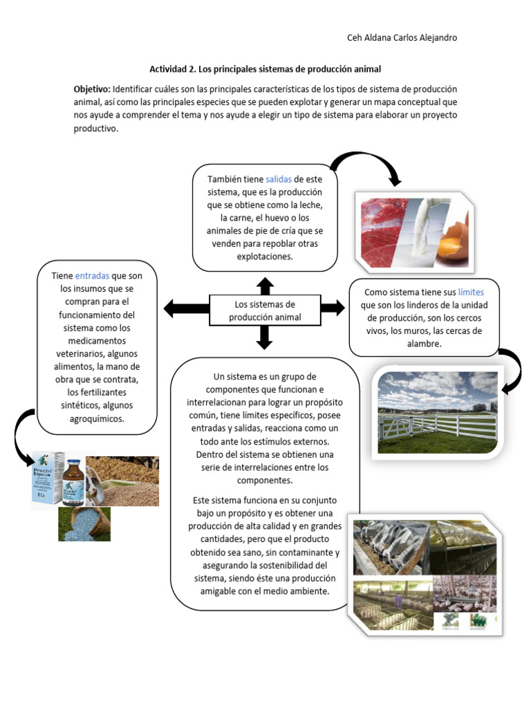 Actividad 2 Los Principales Sistemas de Produccion Animal | PDF | Carne ...