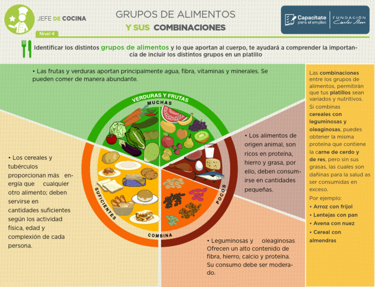 Grupos de Alimentos y Sus Combinaciones | PDF | Alimentos | Legumbre