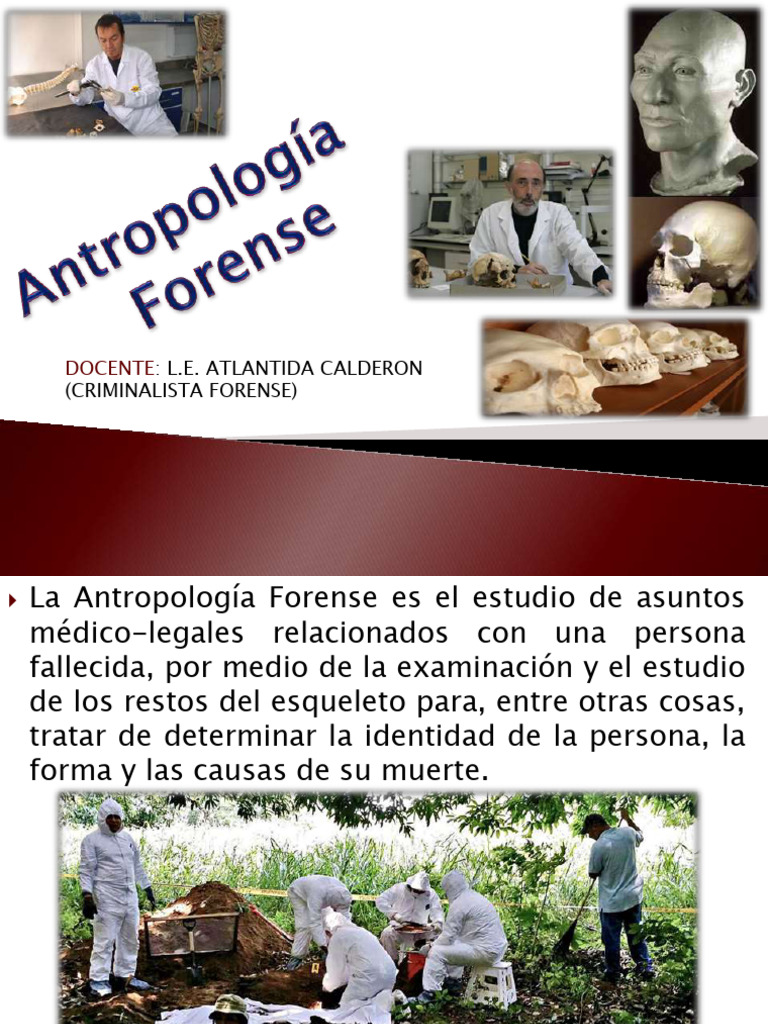 Antropología Forense ? - ? | PDF | Hueso | Cadáver