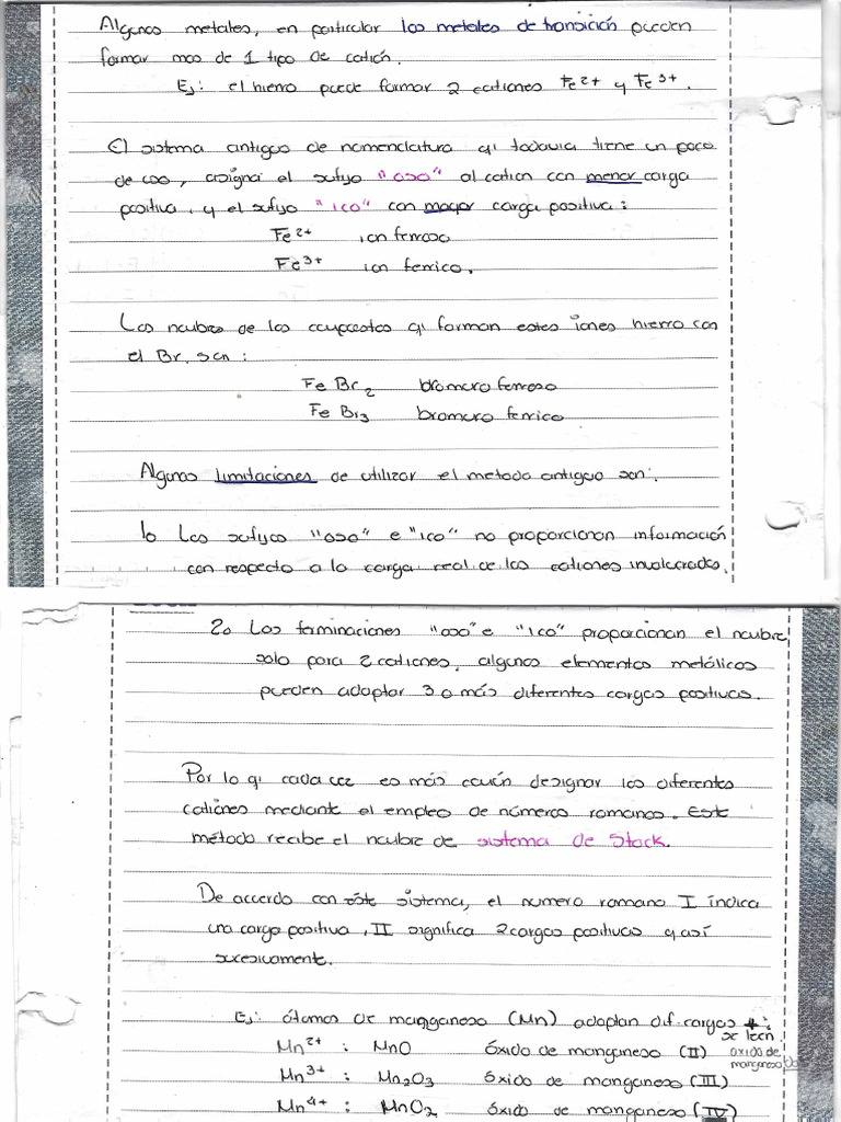 Apunte de Nomenclatura | PDF