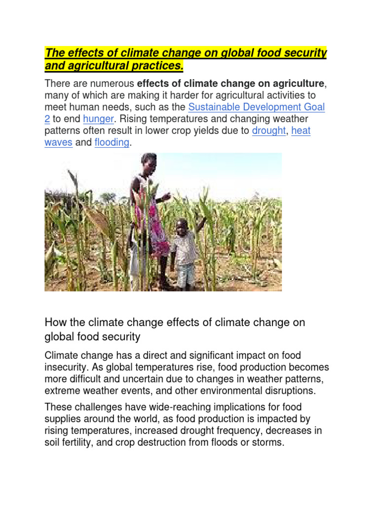 The Effects of Climate Change On Global Food Security and Agricultural ...