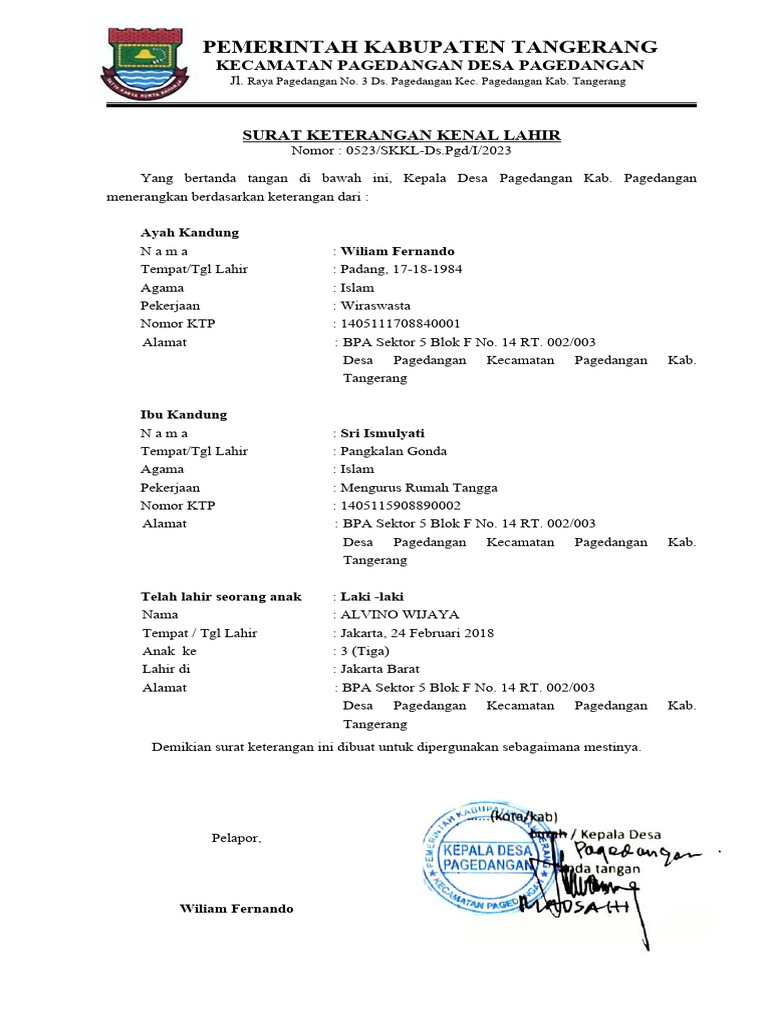 Surat Keterangan Lahir Dari Desa | PDF