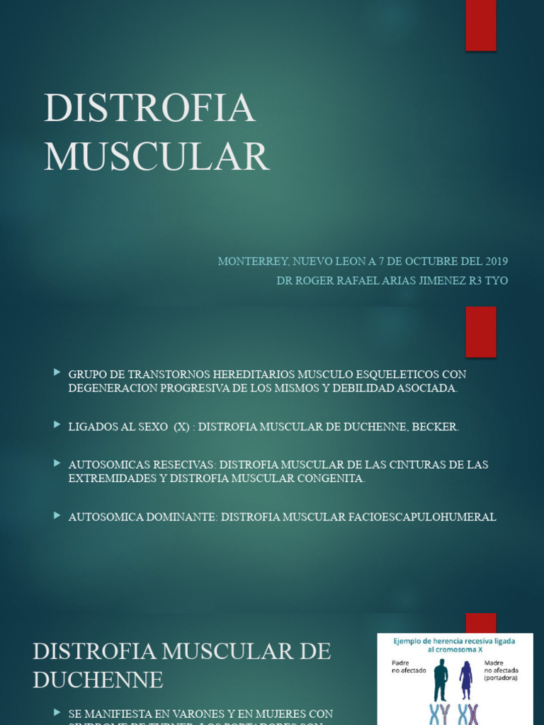 Distrofia Muscular | PDF | Medicina CLINICA | Sistema musculoesquelético