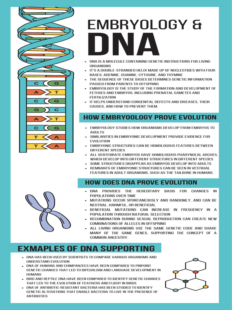 Beige Pink Vibrant Modern Colorful Financial Planning Tips Infographic ...