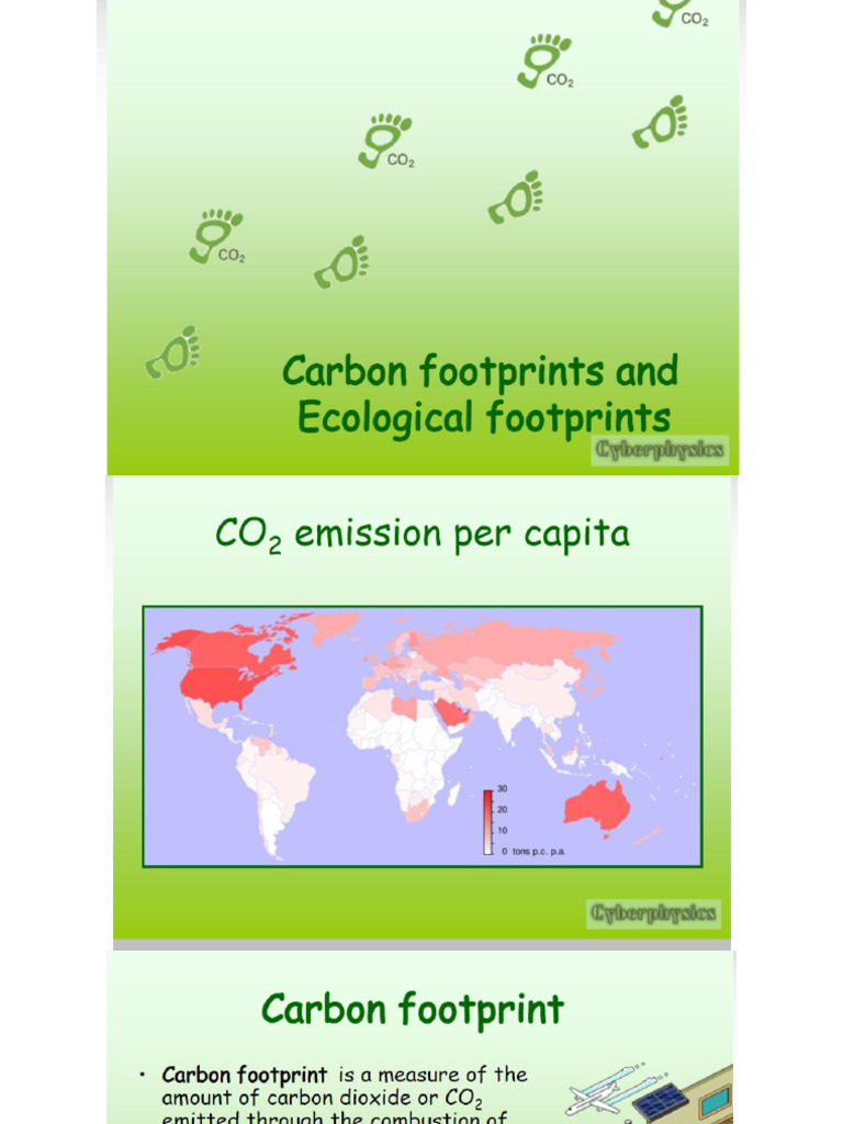 Carbon Footprint | PDF