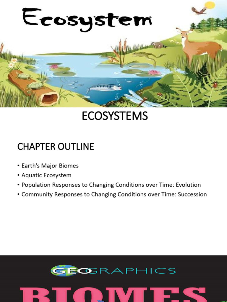 Ecosystem and Biomes | PDF | Rainforest | Grassland
