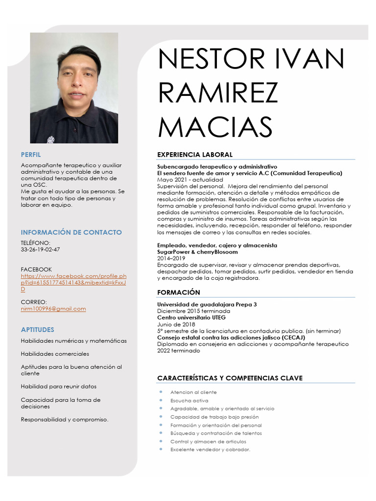 CV Nestor Ramirez | PDF | Business | Informática