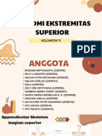 Struktur dan Fungsi Ekstremitas Atas | PDF