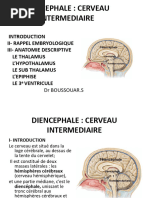 Rôle et anatomie du centre ovale cérébral | PDF | Cerveau | Cortex cérébral
