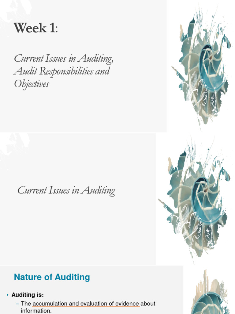 Week 1 Lecture | PDF | Audit | Financial Audit