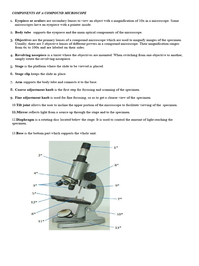 Week 2components of A Compound Microscope | PDF | Wellness | Science ...